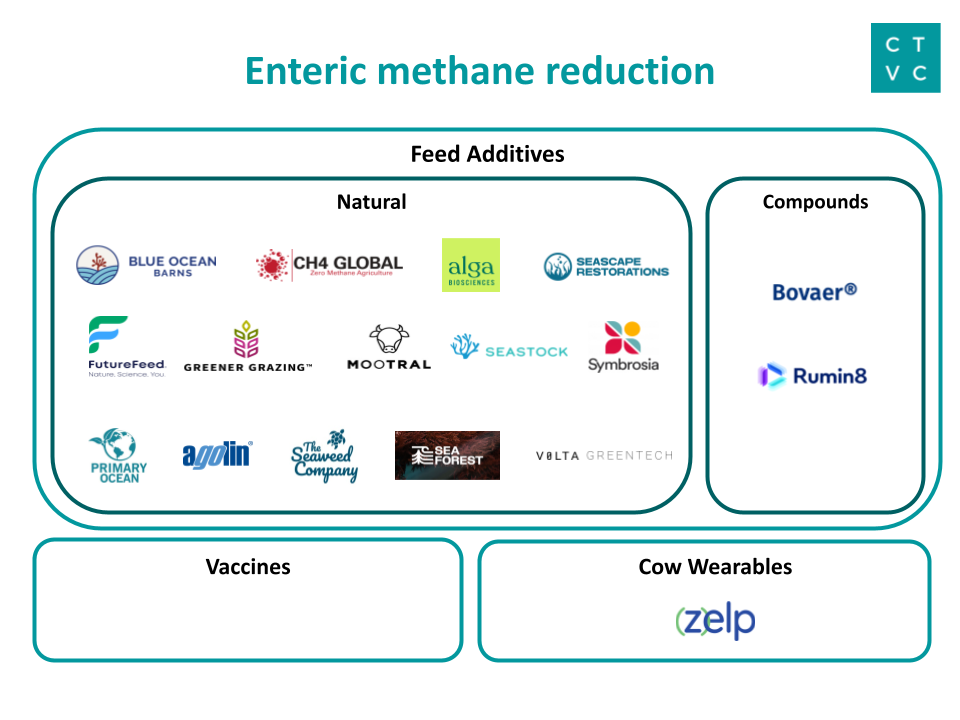 Ruminating on methane emissions