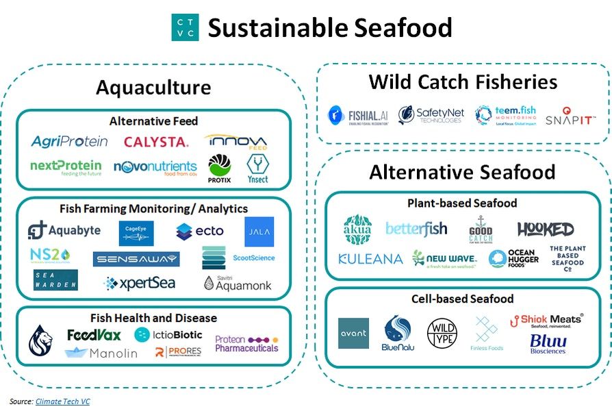 🌍 Turning the tide on sustainable seafood #49CommentShareCommentShare