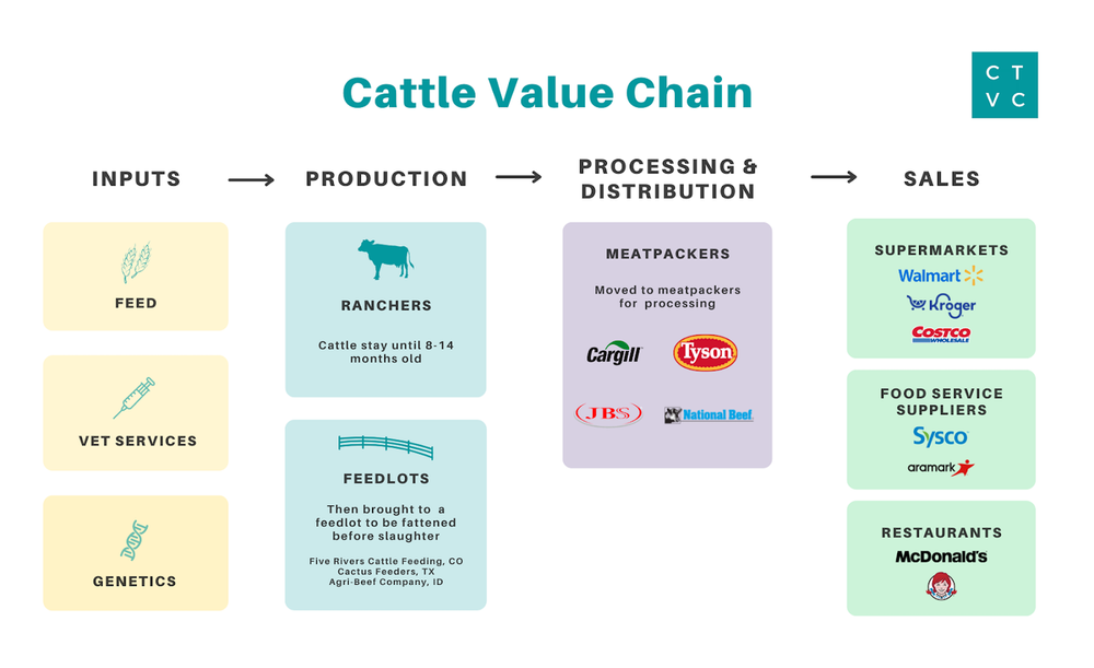 Ruminating on methane emissions
